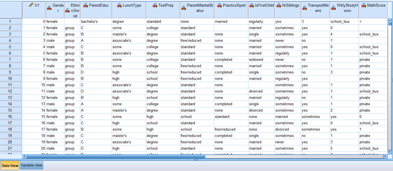 IBM SPSS Statistics Tutorial - Part 03 - Importing Data - Your Right Decision Blog